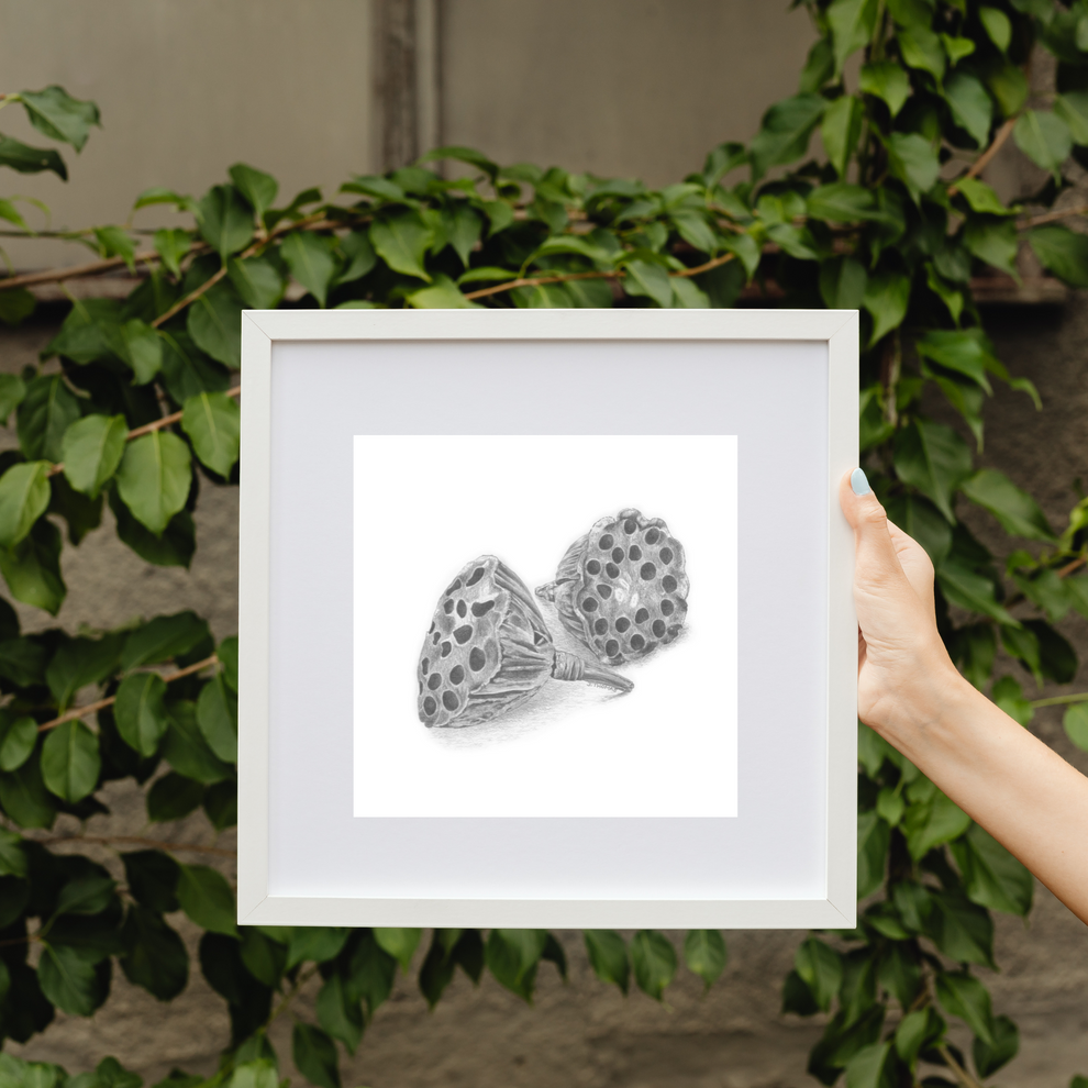 Lotus Seed Pod- Print – Joanna Thomas Art