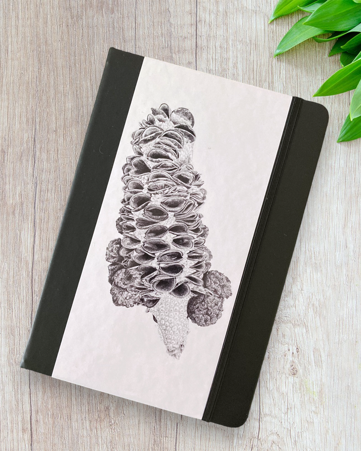 Banksia Seedpod A5 Notebook – Joanna Thomas Art