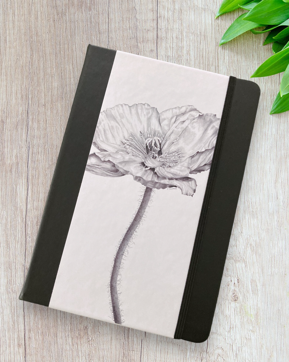 Poppy A5 Notebook – Joanna Thomas Art